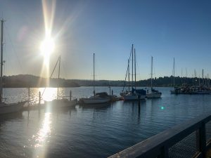 West Coast Road Trip From Seattle to Austin - Travel A-Broads