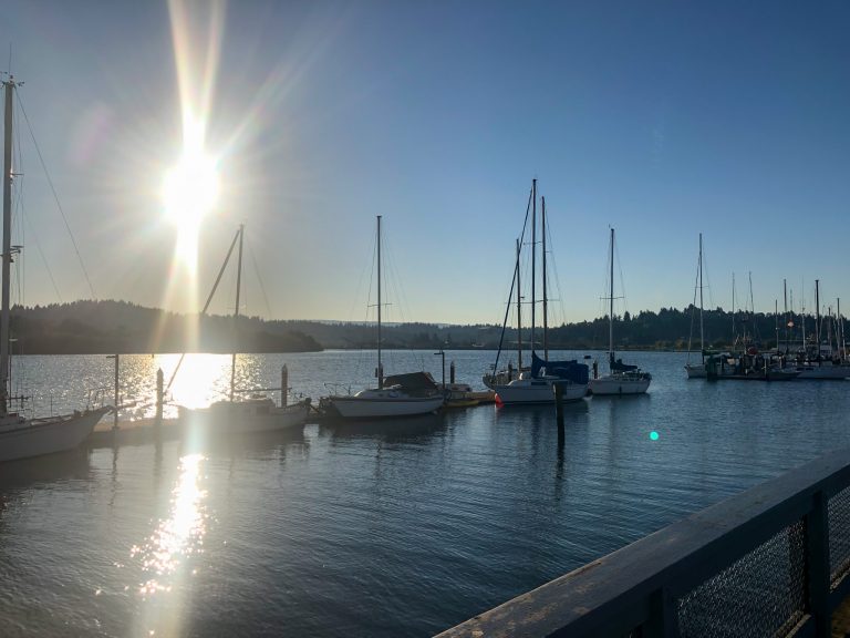 West Coast Road Trip From Seattle to Austin - Travel A-Broads