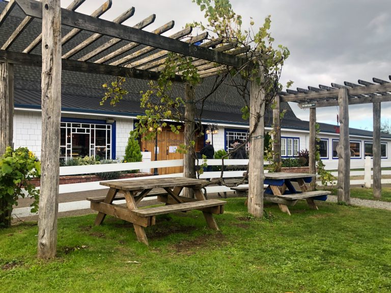 West Coast Road Trip From Seattle to Austin - Travel A-Broads