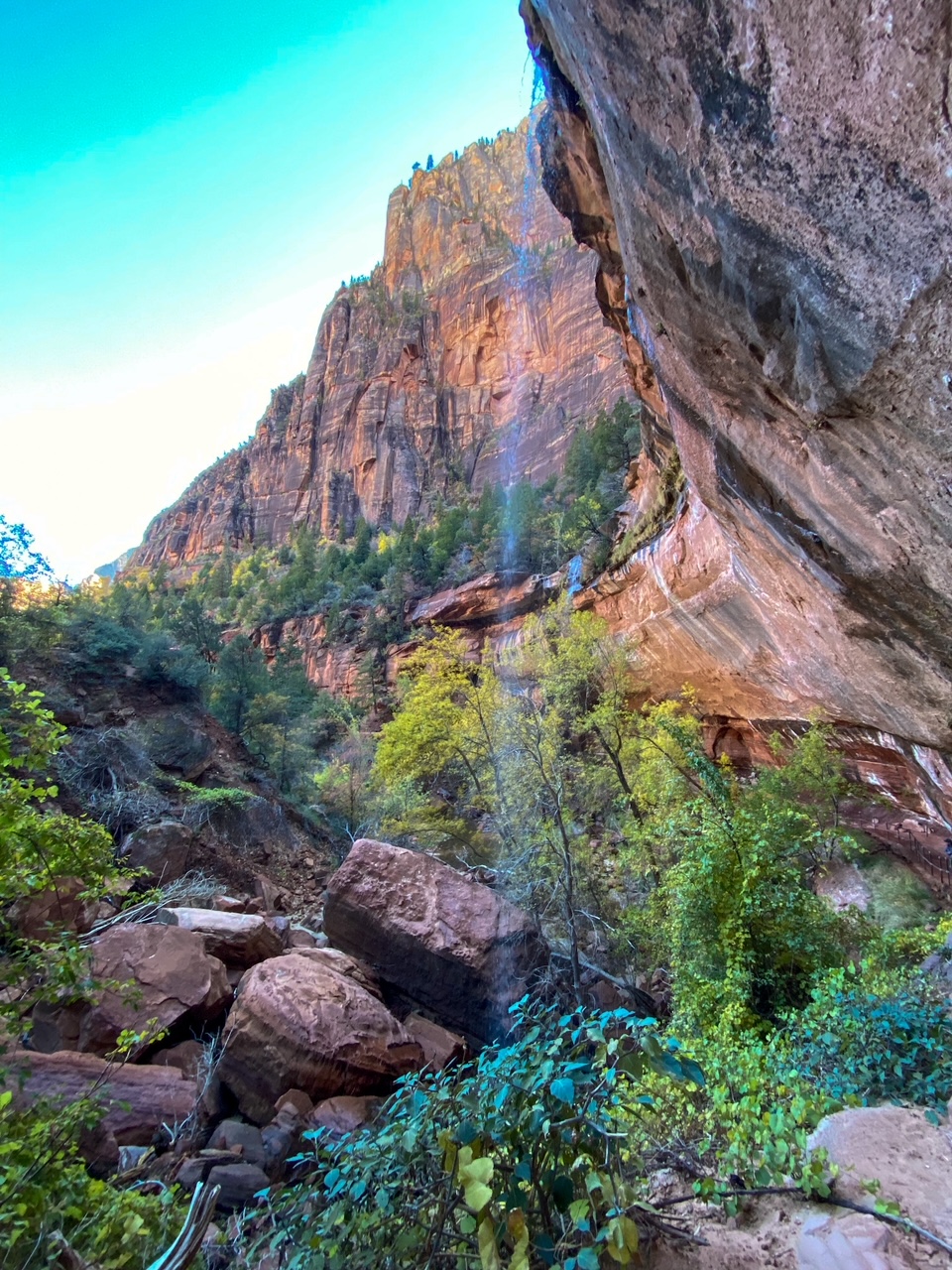 How to Plan Your Epic Three-Day Zion Adventure - Travel A-Broads