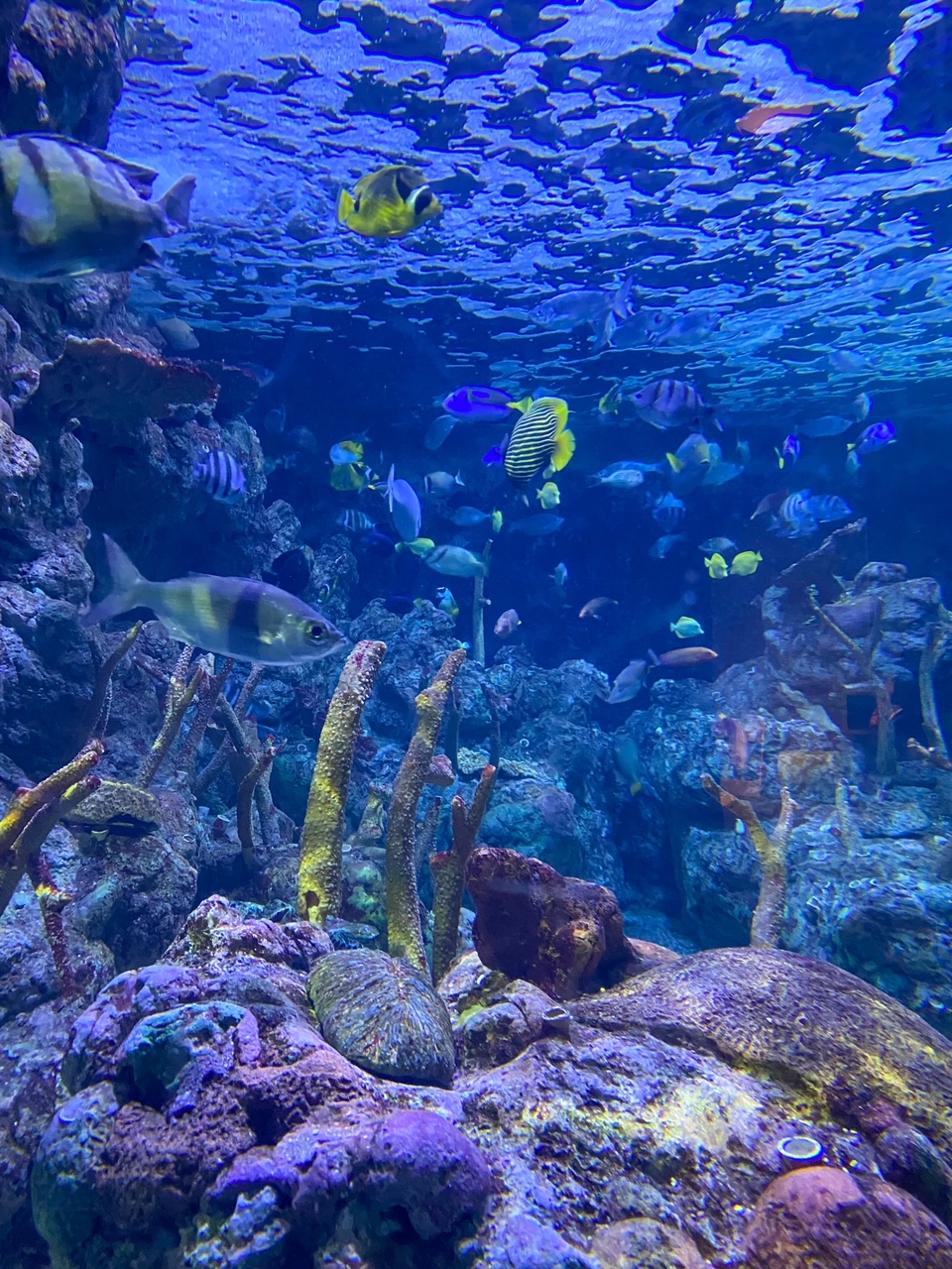 How to Spend Three Days in Seattle in February - Travel A-Broads