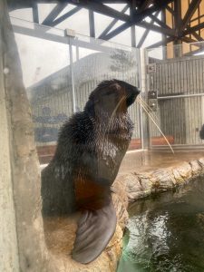 How to Spend Three Days in Seattle in February - Travel A-Broads